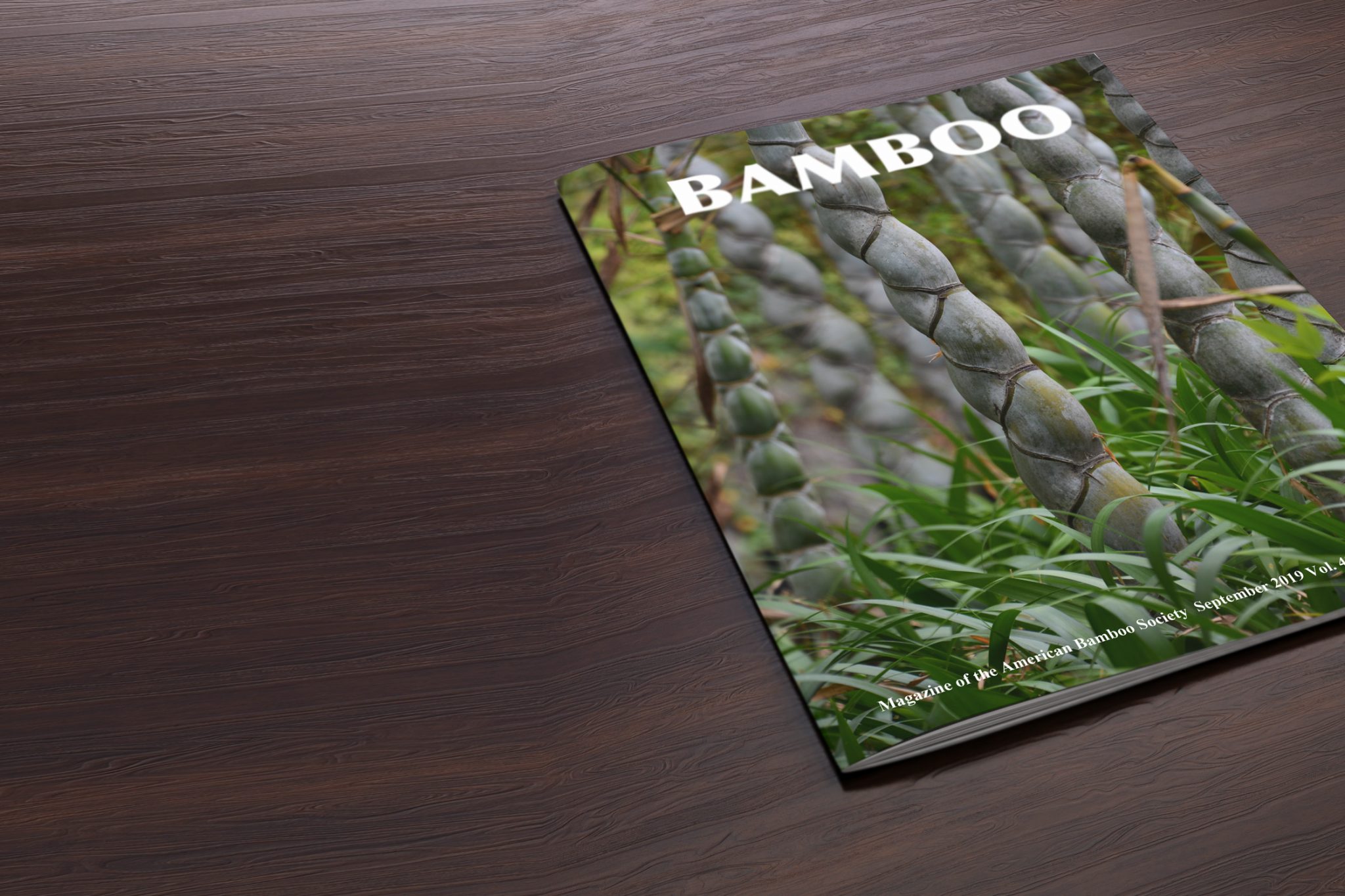 Bamboo Magazine – American Bamboo Society